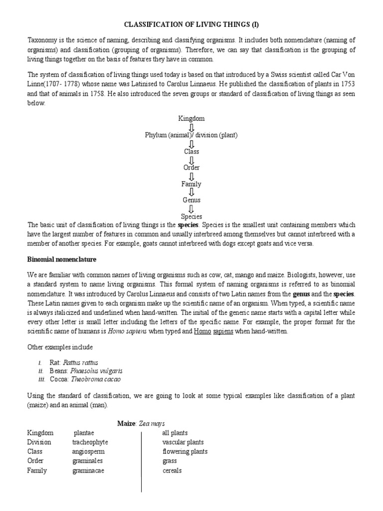 Classification of Living Things (I) | PDF | Plants | Legume