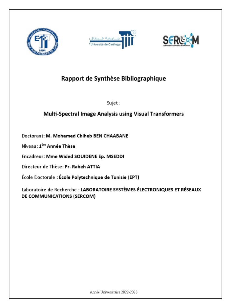 Rapport de Synthèse Bibliographique | PDF | Ordinateurs