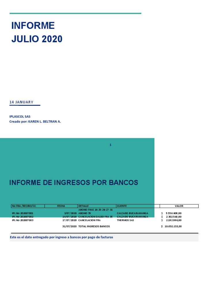Informe Julio 2020 | PDF