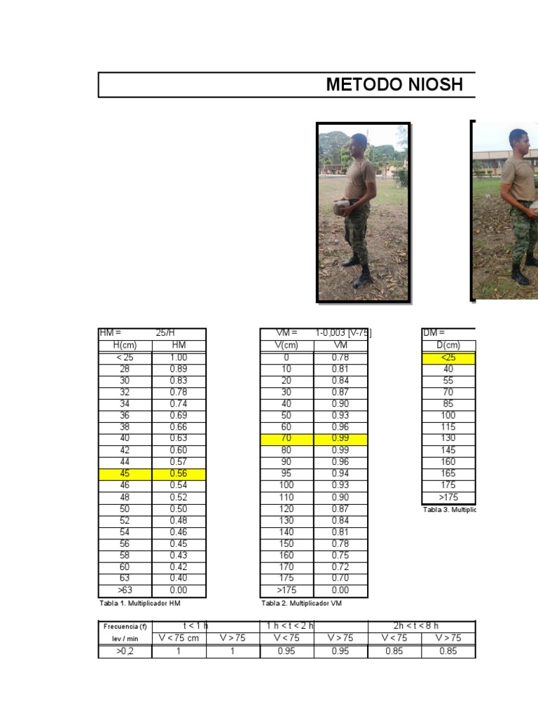 Calculation of Tolerable Weight Limits Based on NIOSH Lifting ...