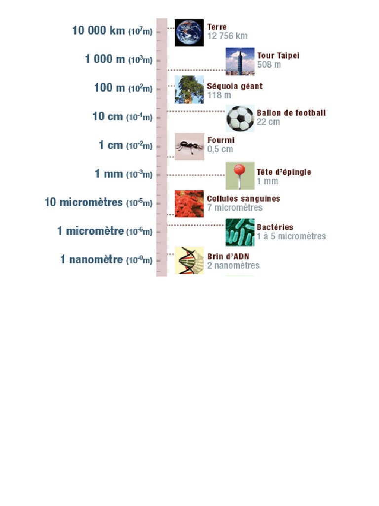 Echelles Du Vivant | PDF
