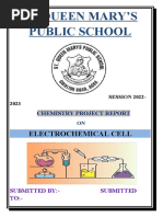 Chemistry Project On Electrochemical Cell | PDF | Redox | Electrochemistry