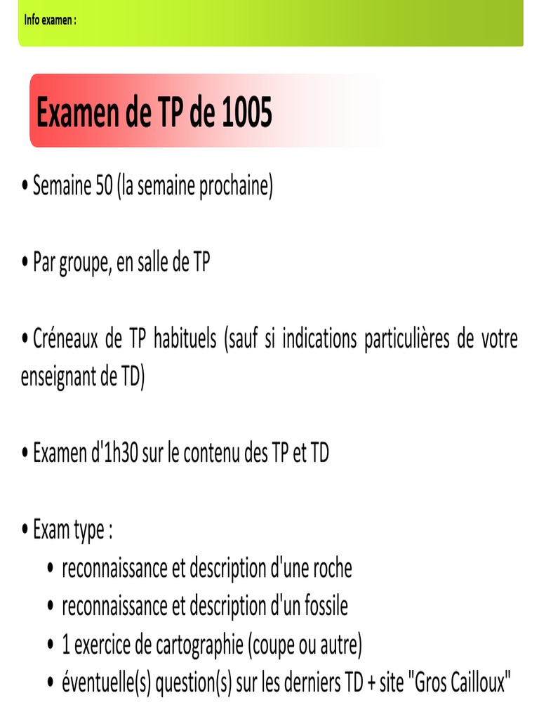 Examen de TP de 1005 | PDF | Fossile | Écologie