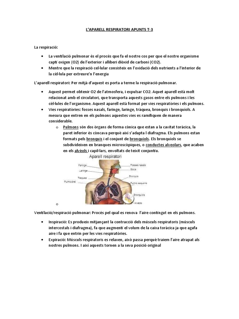 Apunts BIO-GEO APARELL RESPIRATORI | PDF