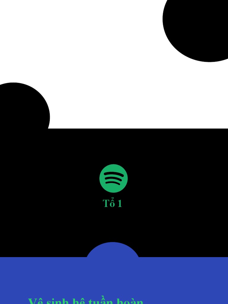 Spotify | PDF