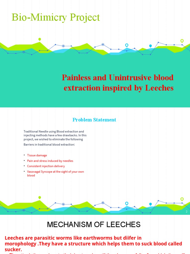 Biomimicry Project | PDF | Color | Yellow