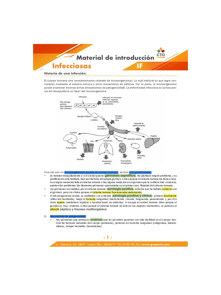 Mir 12 2223 Introduccion If | PDF