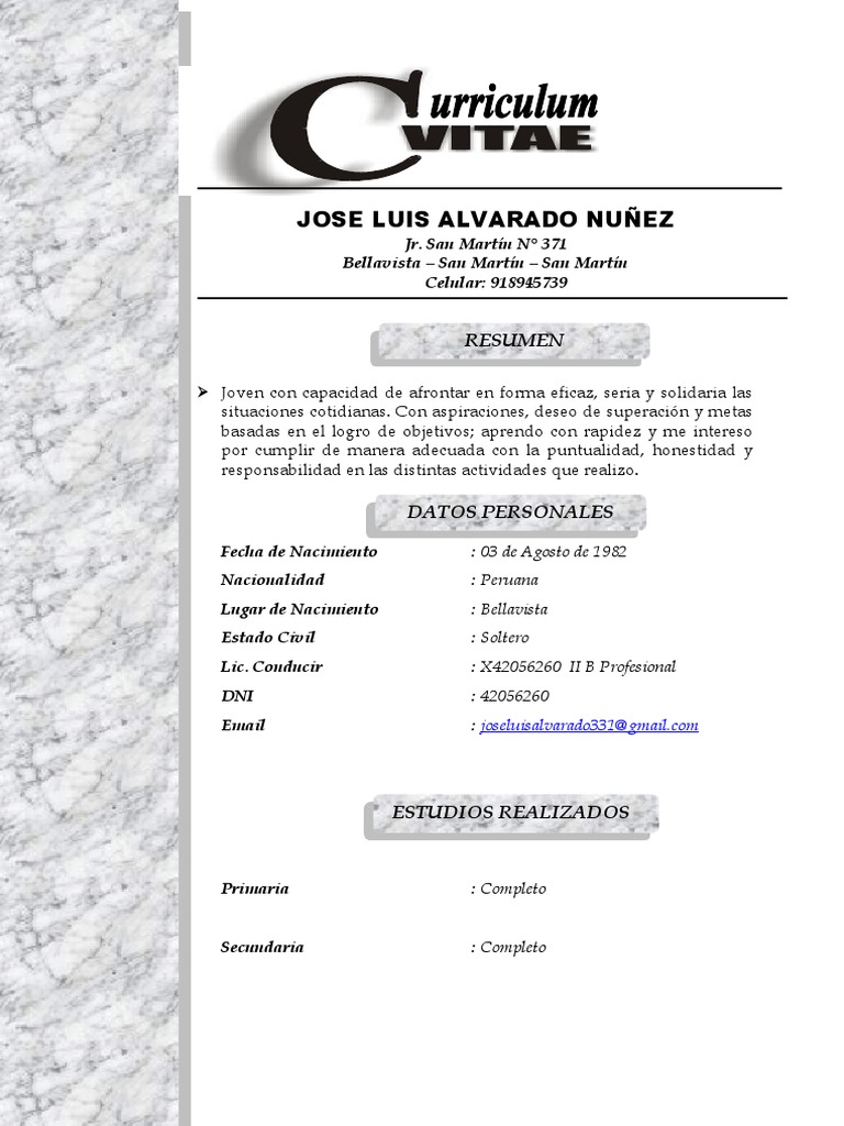 CURRICULUM VITAE jOSE LUIS | PDF
