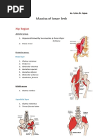 Netter's Human Anatomy Atlas Overview | PDF | Abdomen | Pelvis