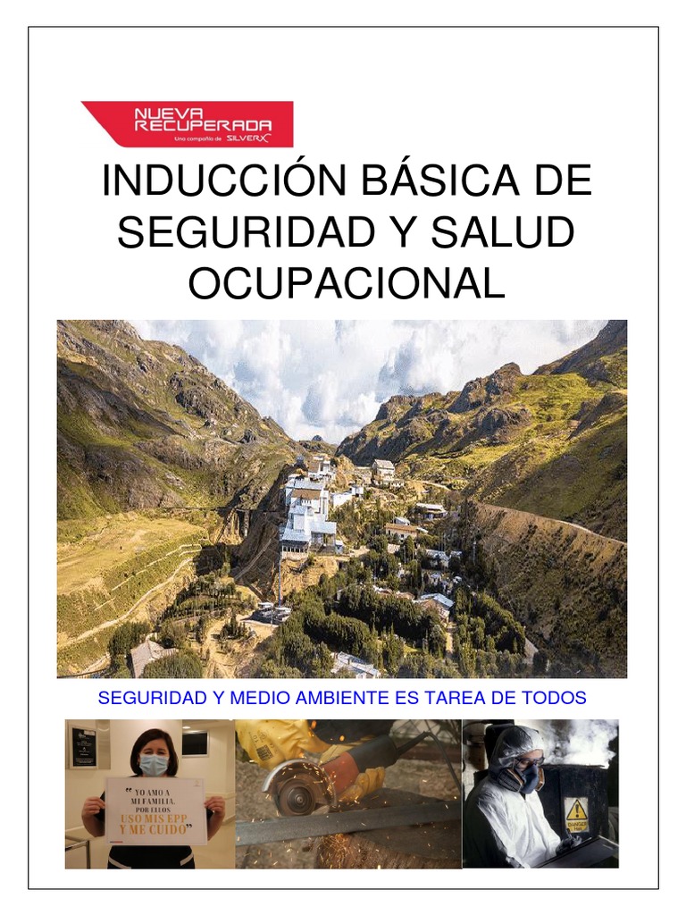 Folleto Inducción Básica de Seguridad y Salud Ocupacional | PDF | Seguridad y salud ocupacional ...