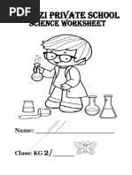 Kindergarten Exam Paper Pdf