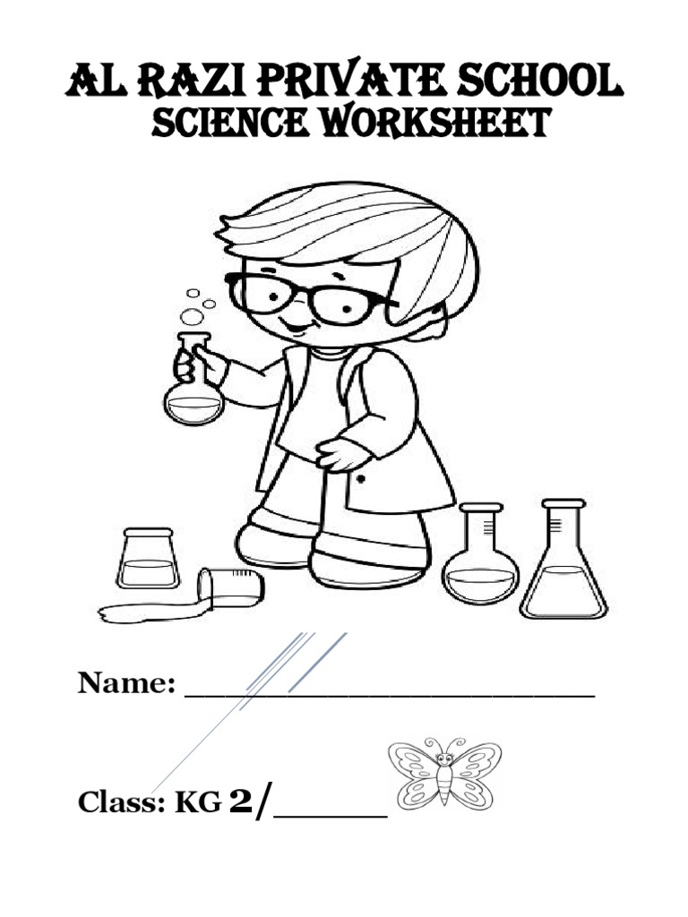 KG2 Science Worksheet Activities | PDF | Senses | Transport