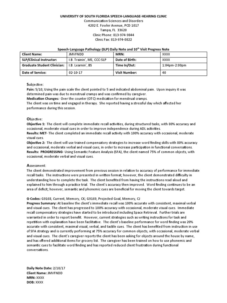 Individual SOAP Note Example | PDF | Recall (Memory) | Health Sciences
