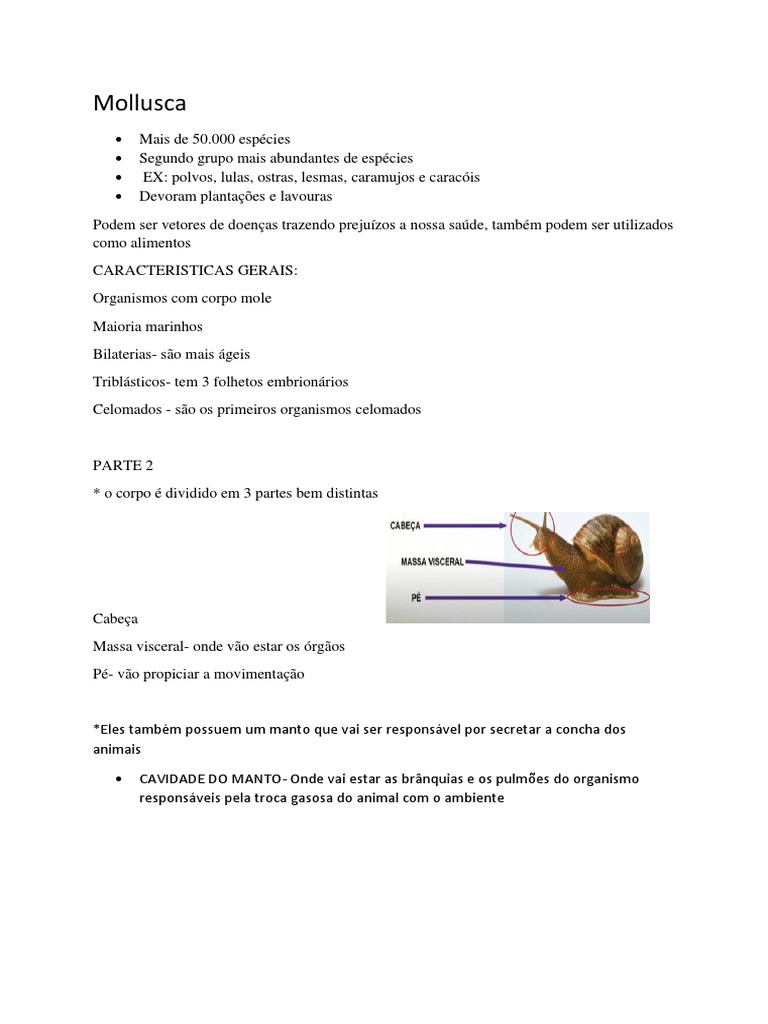 MOLLUSCA | PDF | Moluscos | Sistema circulatório