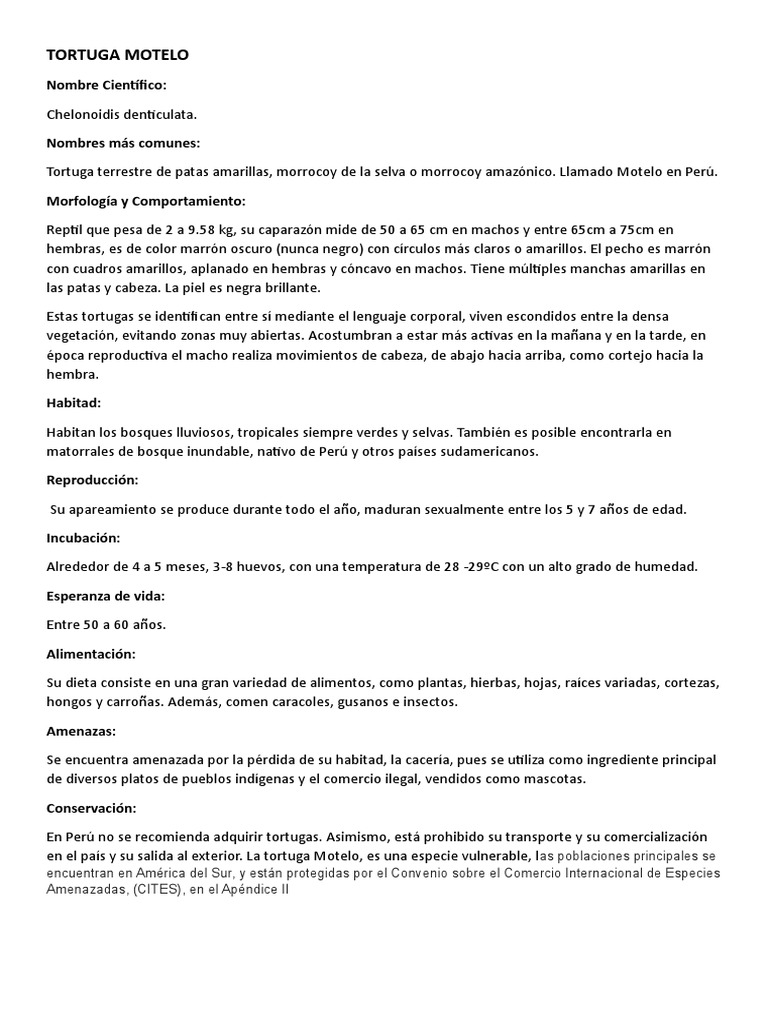 Tortuga Motelo | PDF