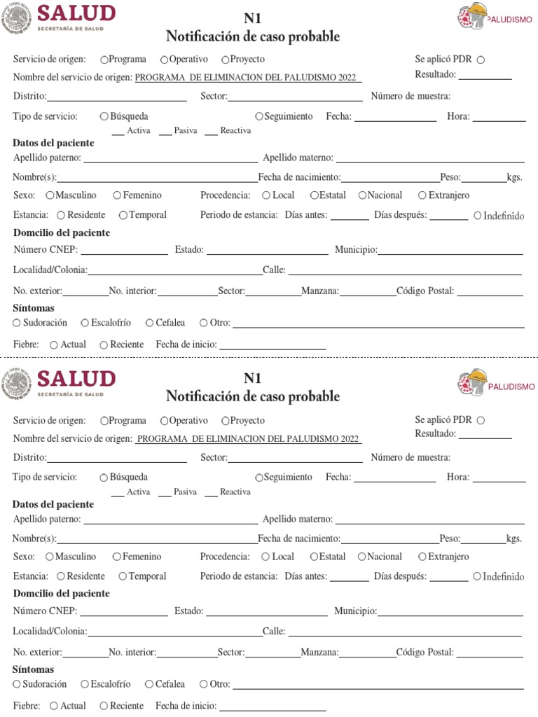 Formato N1 Paludismo 2021 PDR | PDF