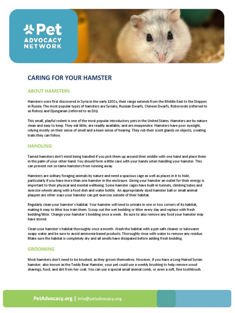 Hamster Care Sheet | PDF | Foods