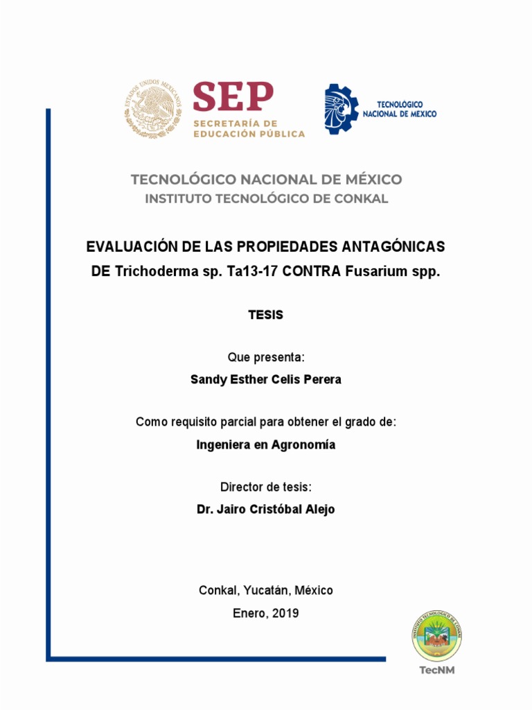 Portada Documentos TecNM-ITConkal Enero 2019 | PDF