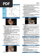 Grade 12 Life Science The Ear PDF | PDF | Ear | Hearing