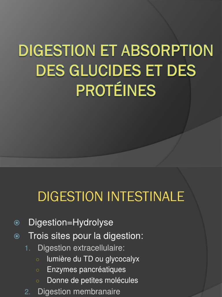 Cours 1digestion Et Absorption Des Glucides-1 | PDF