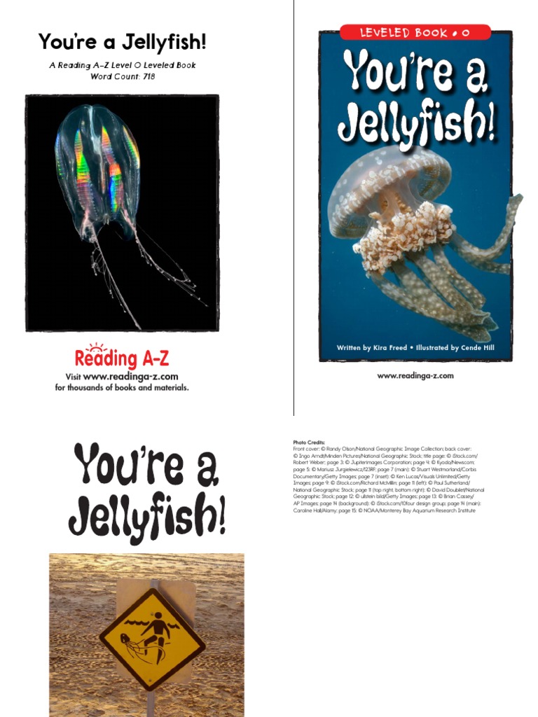 You Are A Jellyfish Book 4-6 | PDF | Organisms | Aquatic Animals