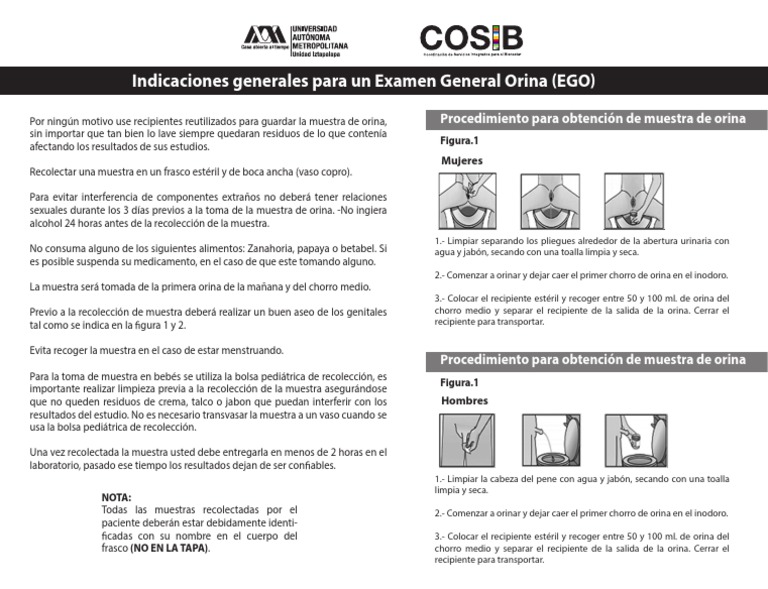 Indicaciones Generales para Un Examen General Orina (EGO ...