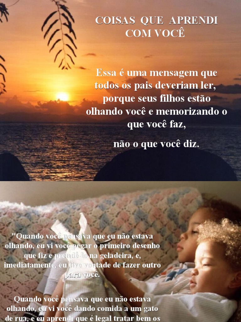 Coisas Que Aprendi Pdf Estilo De Vida