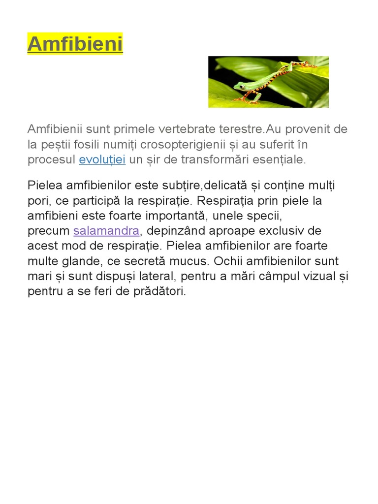 Amfibieni | PDF