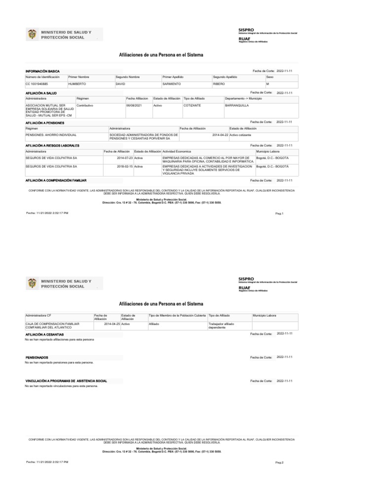 Ruaf | PDF | Pensión | Economias