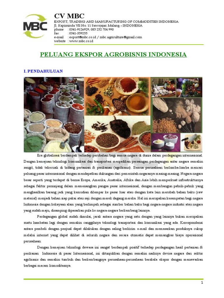 Contoh Pelepasan Ekspor | PDF