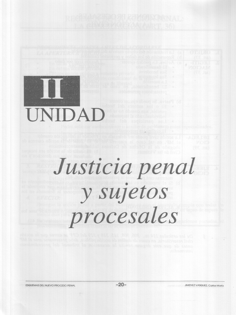 Esquemas Del Nuevo Proceso Penal 2 Pdf