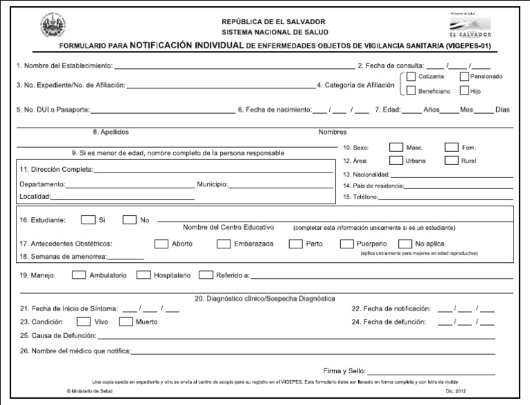 Formulario de Notificacion Individual (VIGEPES-01) | PDF