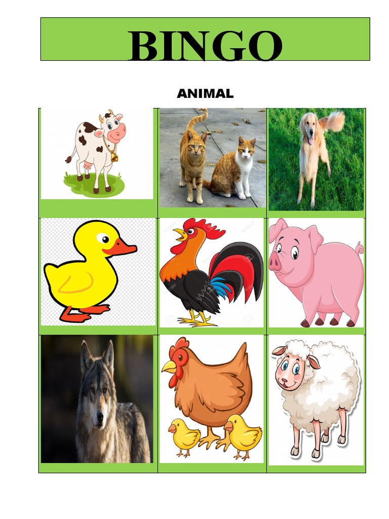 Bingo de Animales | PDF