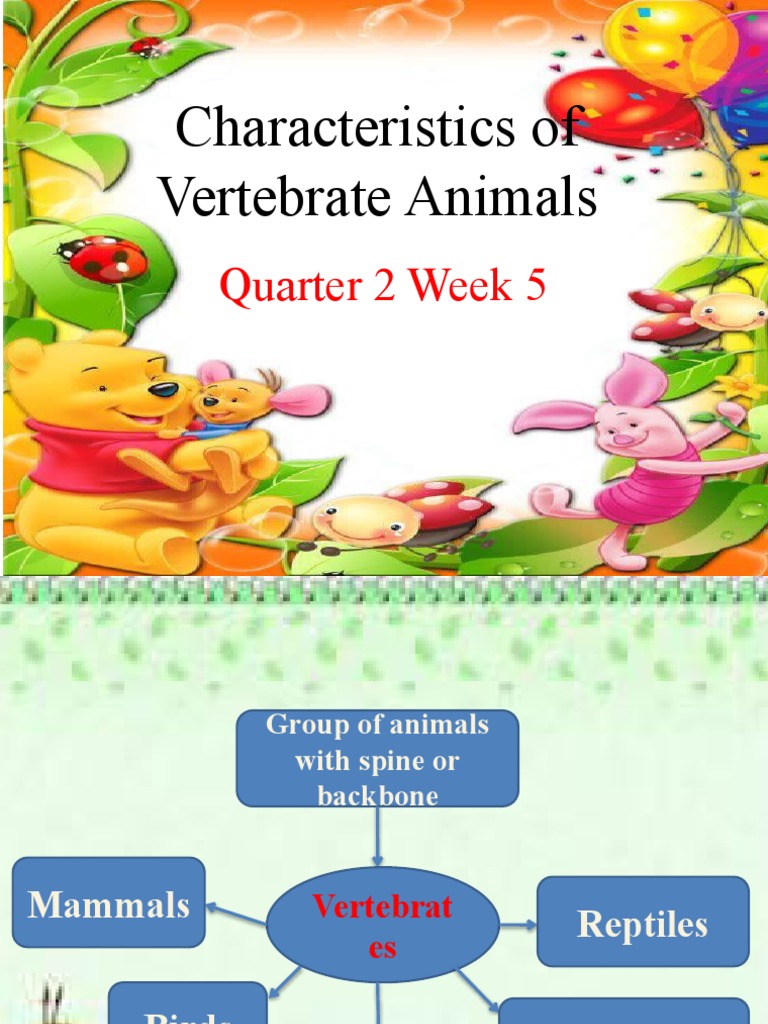 Wk5 Characteristics of Vertebrate Animals | PDF | Vertebrates | Zoology