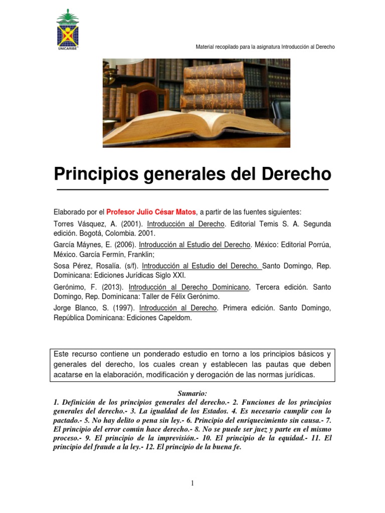 Principios Generales Del Derecho | PDF | Ley procesal | Legislación