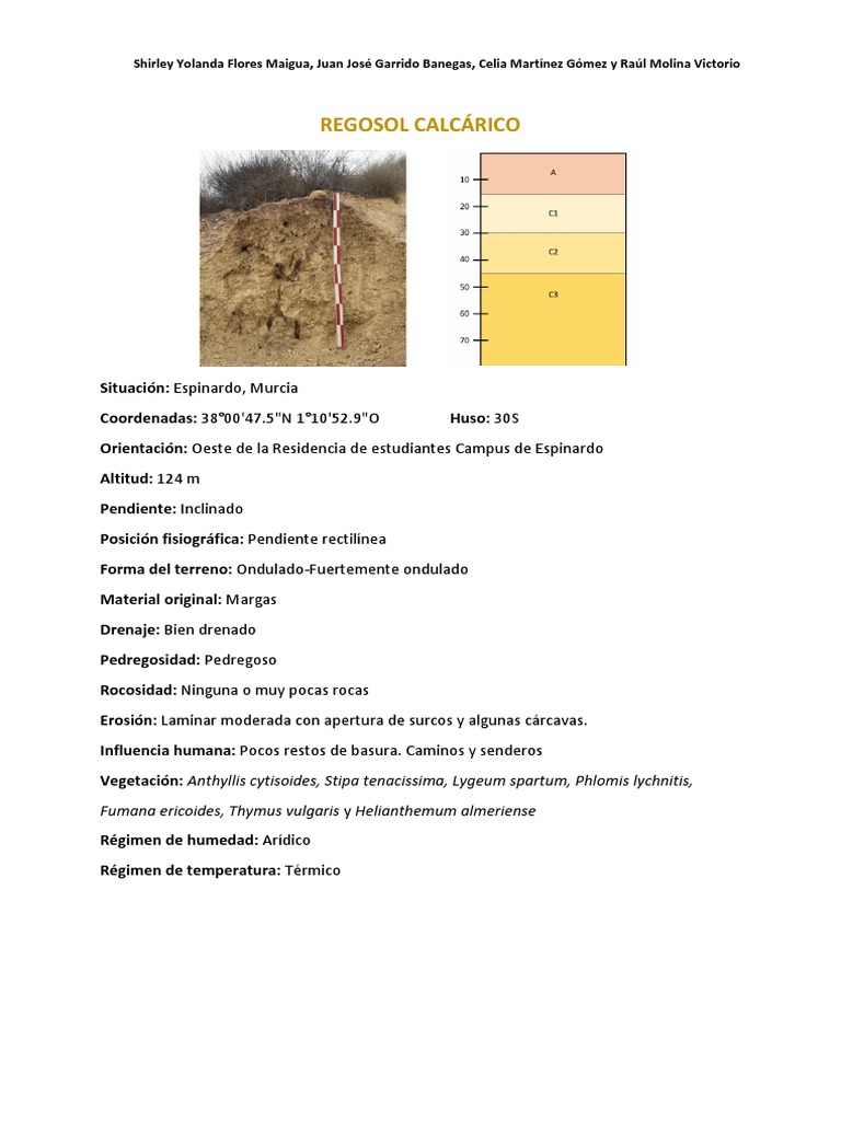 Regosol Calcárico | PDF | Geomorfología | Ciencia del suelo