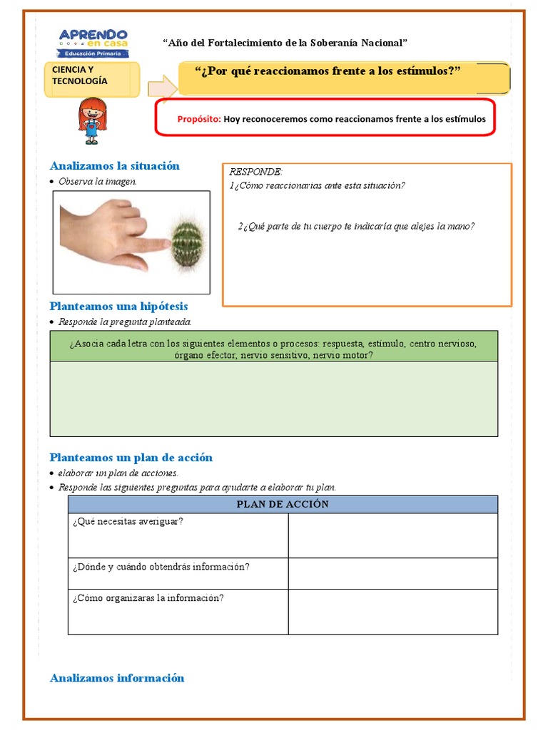 CyT 4° - FICHA 07 ABRIL | PDF | Neurona | Sistema nervioso