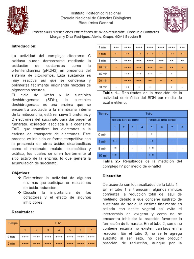 Practica Bioquimica Pdf