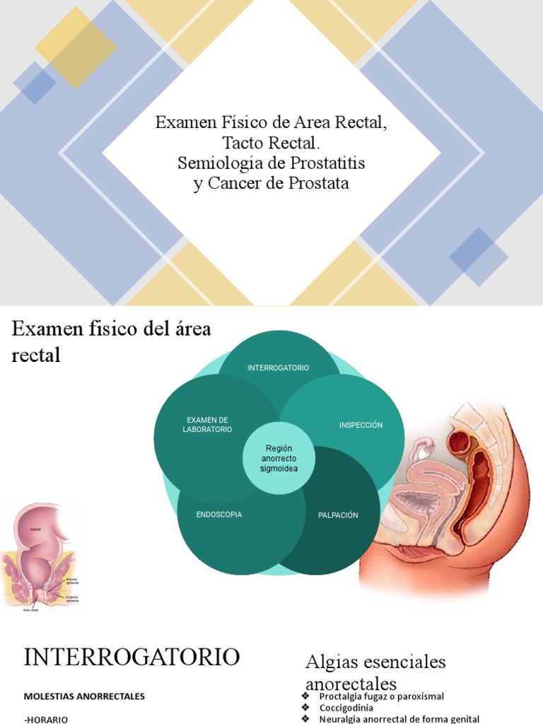 Examen Físico de Área Rectal, Tacto Rectal. Semiologia de Prostatitis y ...