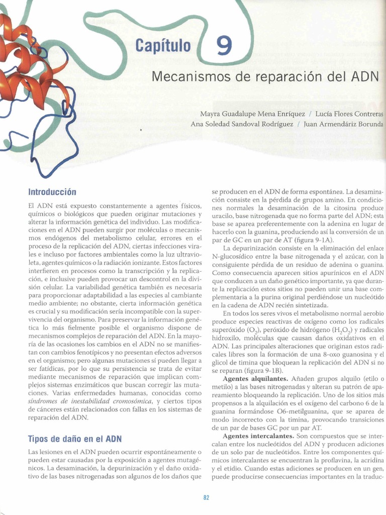 Cap 9 Reparacion | PDF | Reparación de adn | Adn