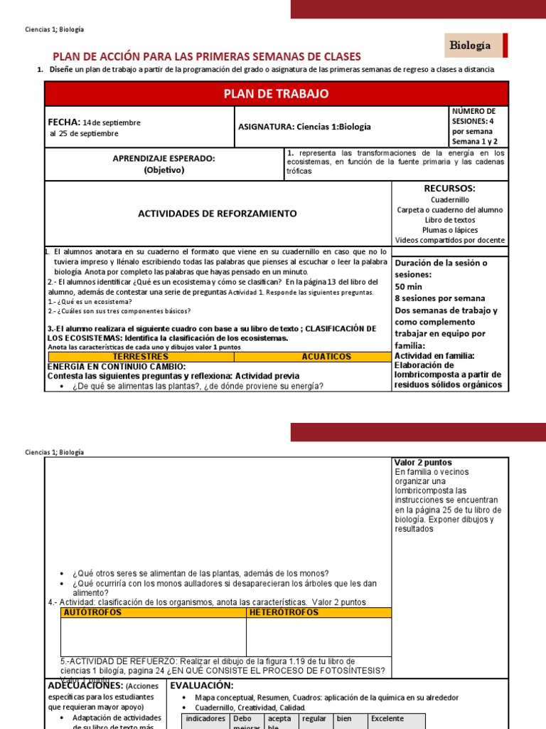 Plan de Acción para Las Primeras Semanas de Clases | PDF | Biología ...