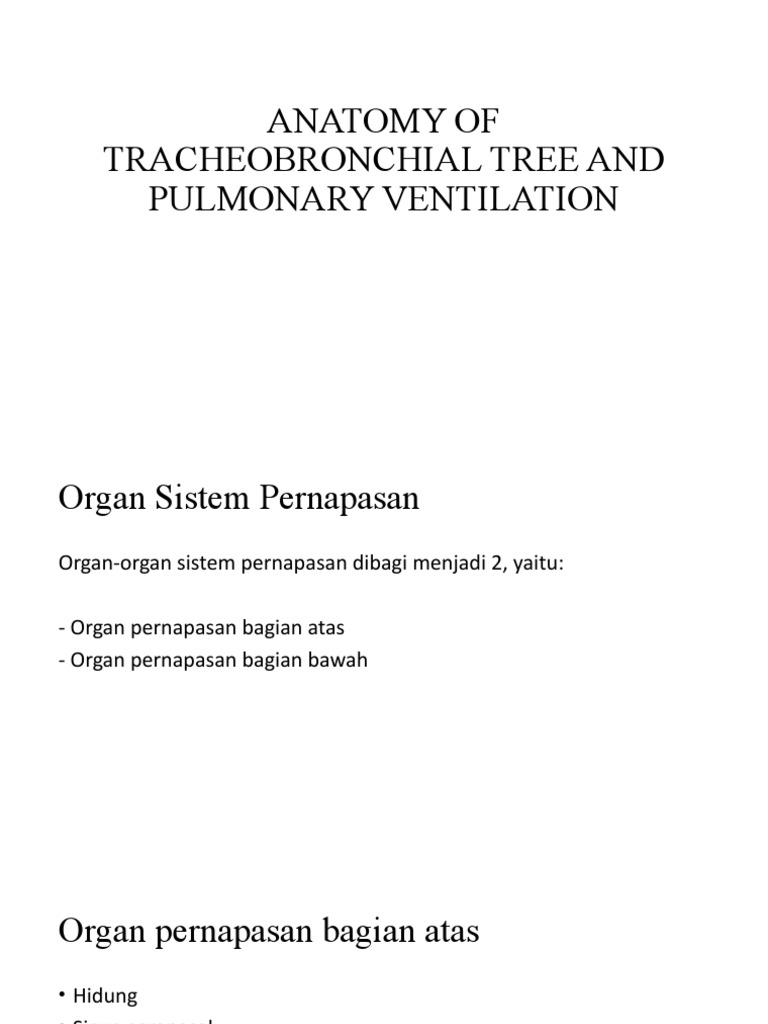 Anatomy of Tracheobronchial Tree and Pulmonary Ventilation | PDF