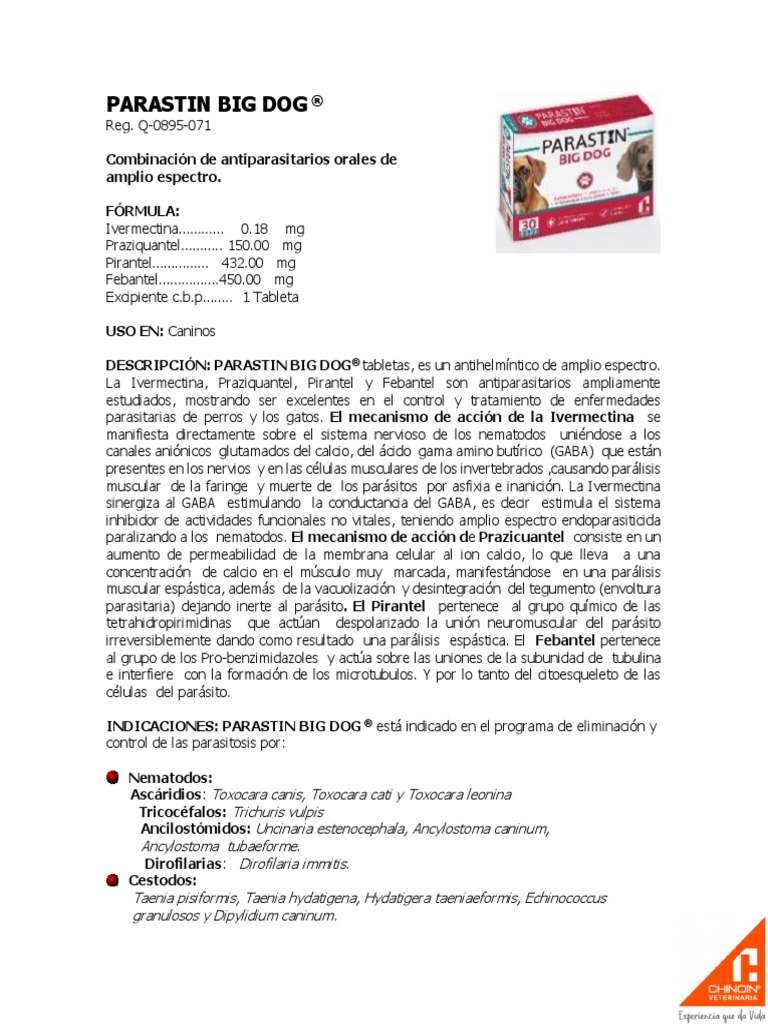 Parastin Big Dog | PDF | Unión neuromuscular | Medicina CLINICA