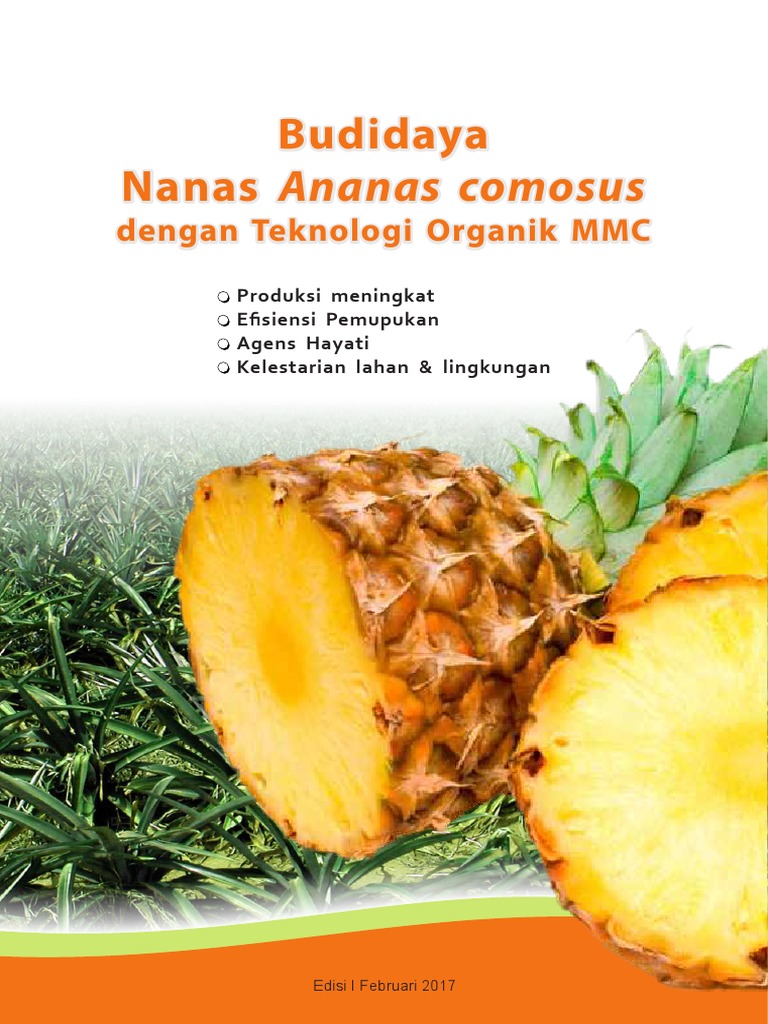 Modul Budidaya Nanas Dengan Teknologi MMC - Edisi I - Februari 2017 | PDF