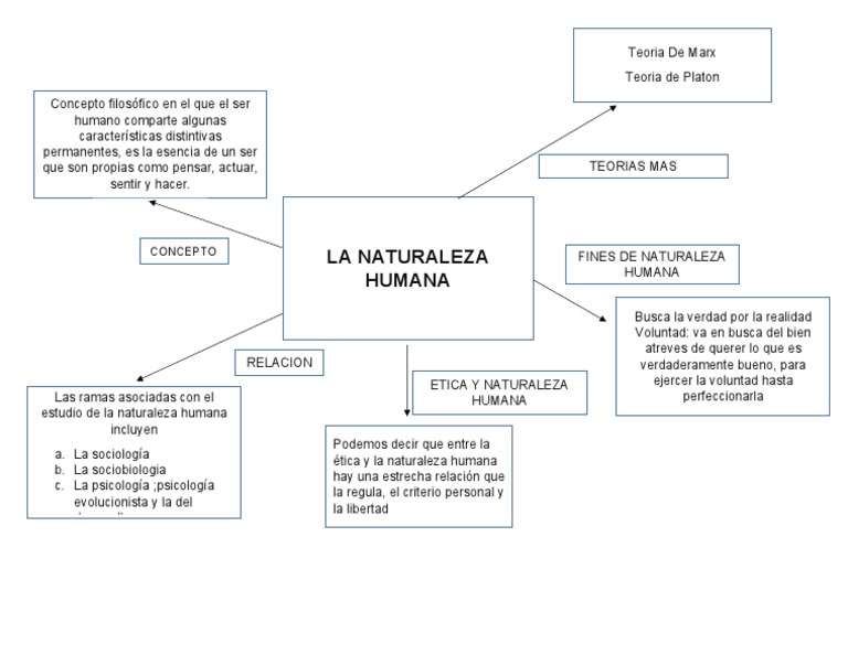 Mapa Conceptual Naturaleza Humana | PDF