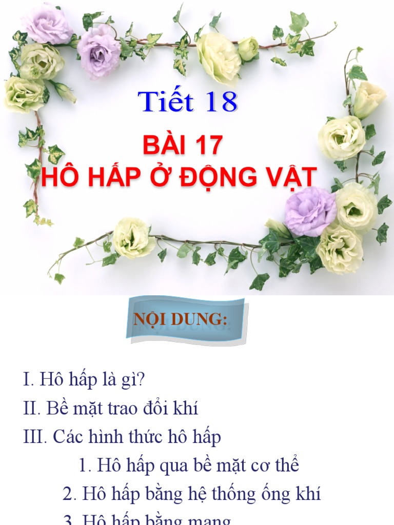 Bai 17 HO HAP O DONG VAT | PDF