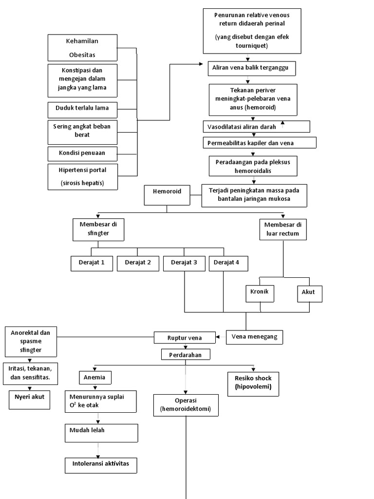 Pathway Hemoroid | PDF