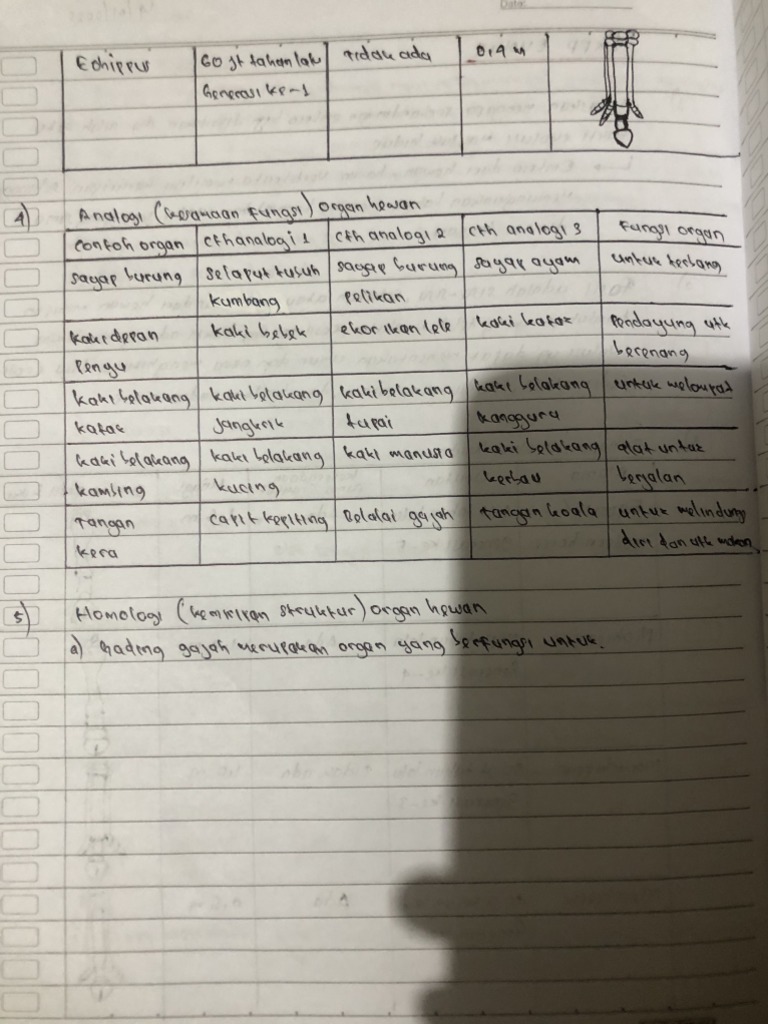 0C96AFFB-E217-4463-916B-97F1AB5E2AA0 | PDF