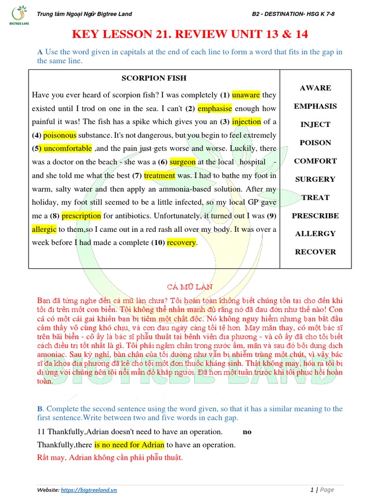 Key Lesson 21 Pdf 