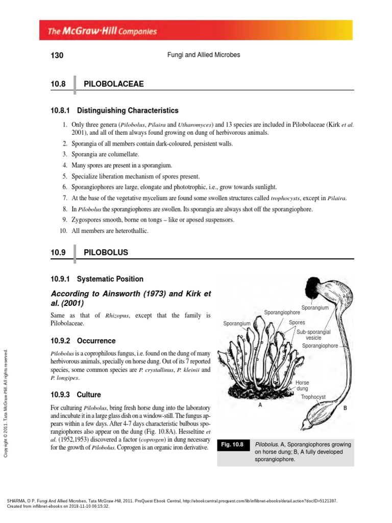 Fungi and Allied Microbes - (10.9 Pilobolus) | PDF | Eukaryotes | Fungus